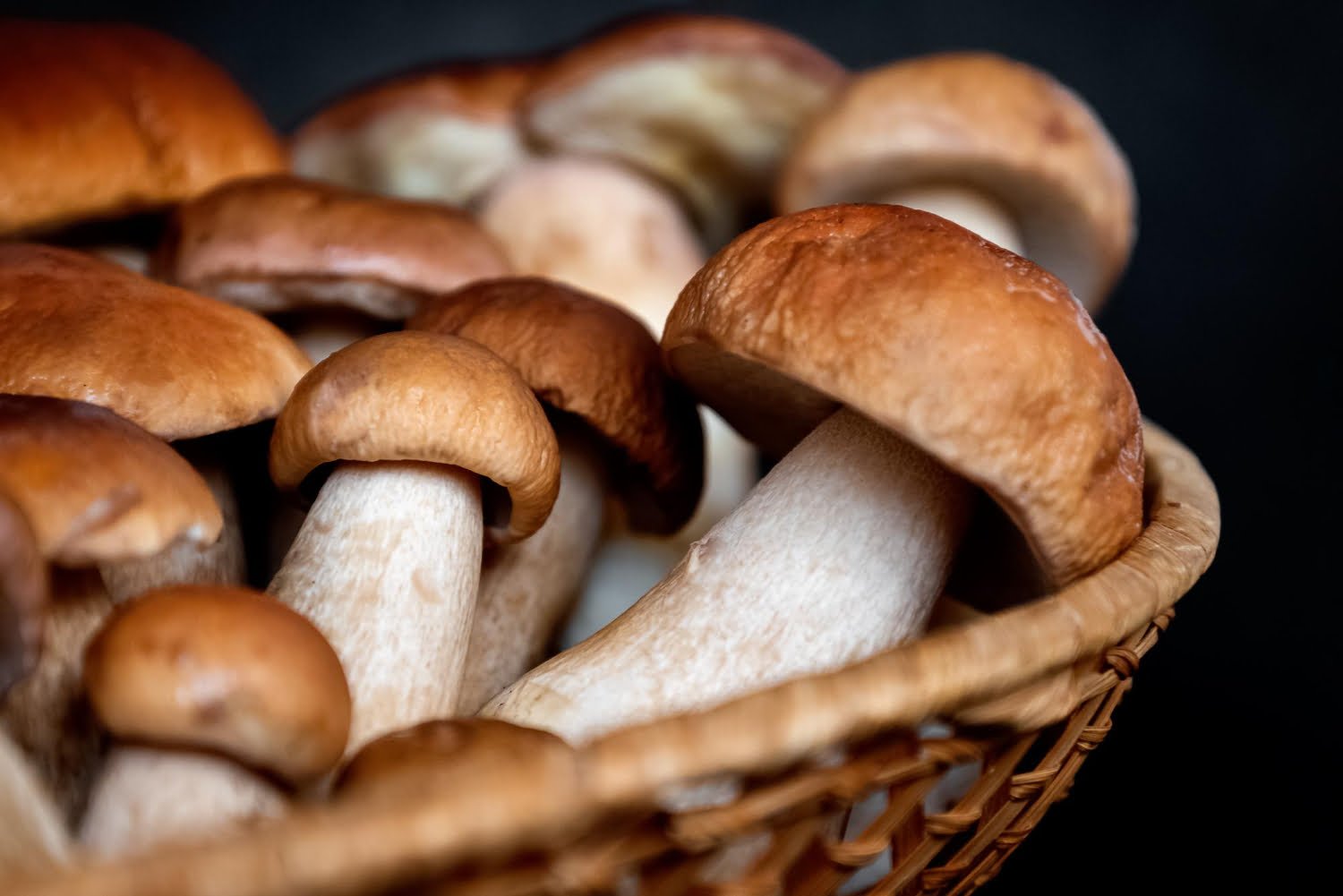 Champignons: pourquoi il faut les introduire fréquemment dans l ...