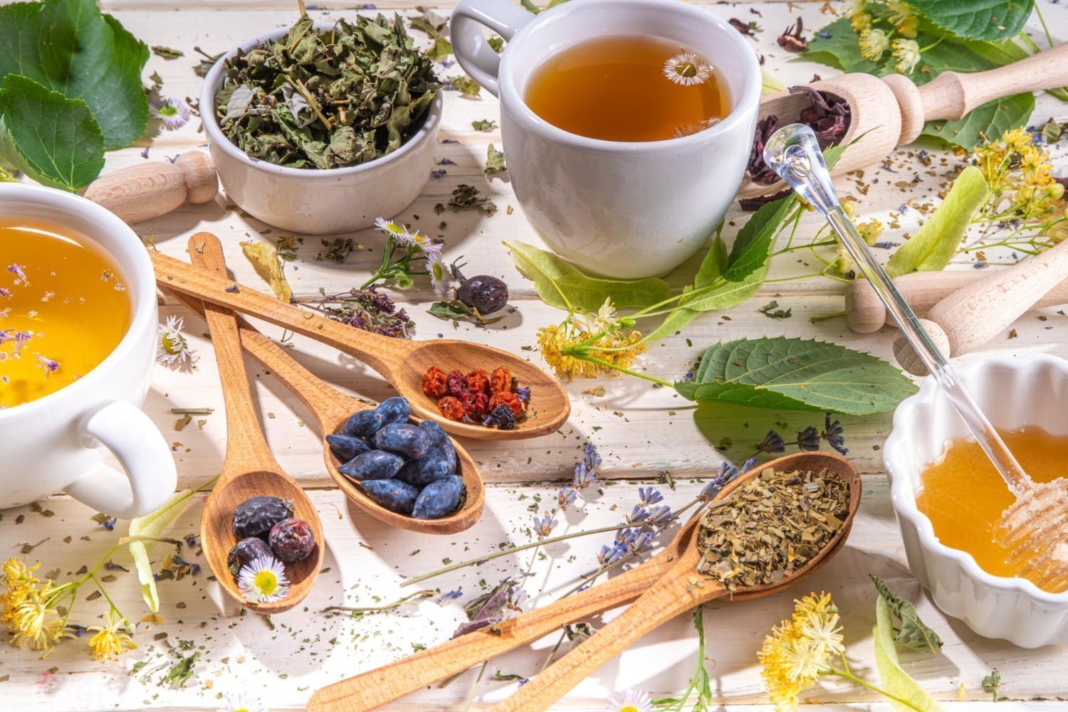 Quels sont les bienfaits des tisanes ? | Pressesante.com