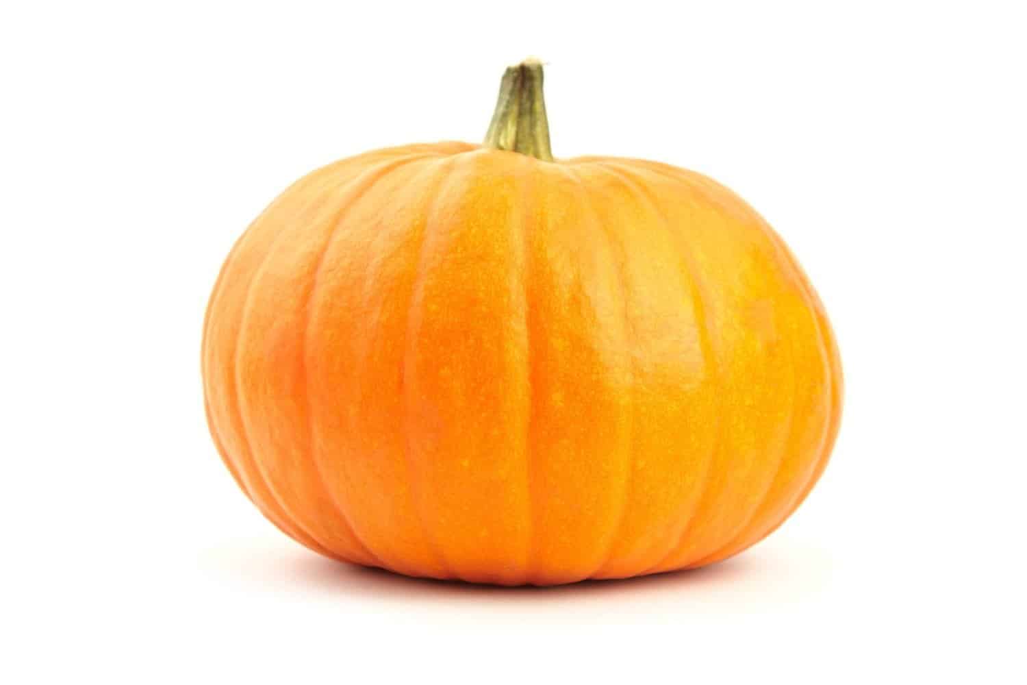 Citrouille : 5 bienfaits nutritionnels méconnus pour la santé