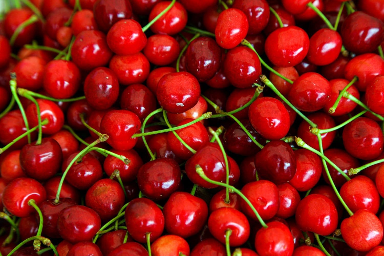 5 bienfaits des cerises pour la santé