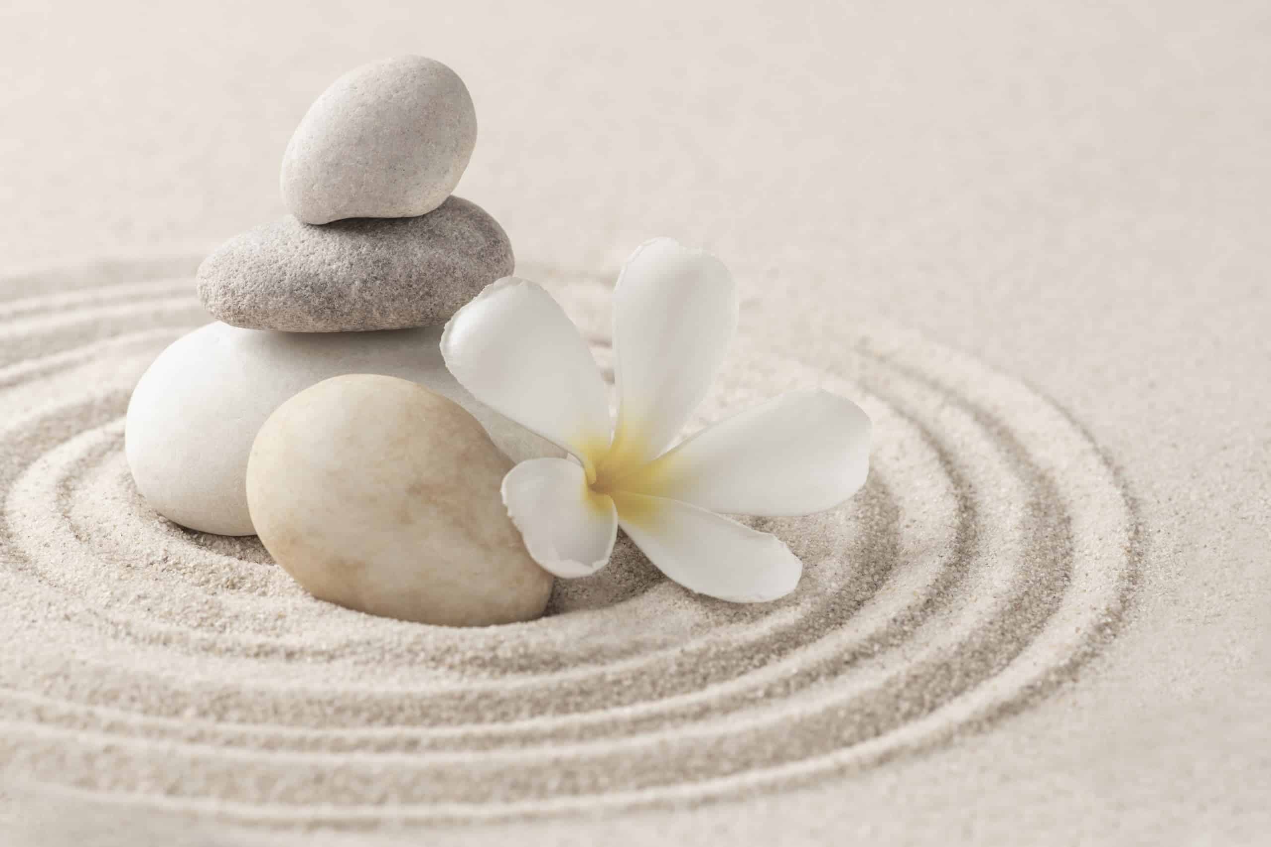 5 conseils de Feng Shui pour harmoniser les énergies de son domicile et ...