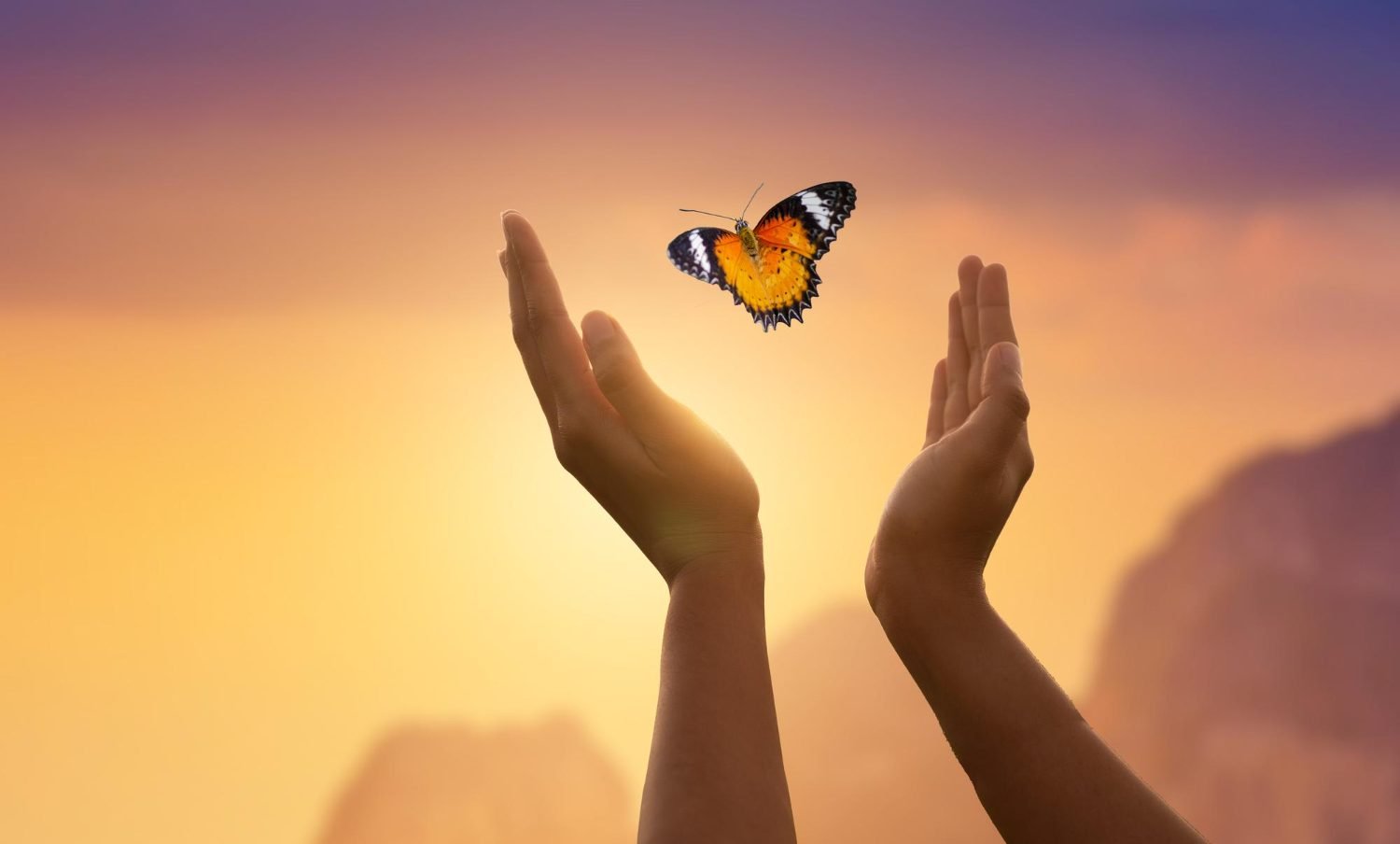 Le Rebirth : définition, technique et bienfaits.