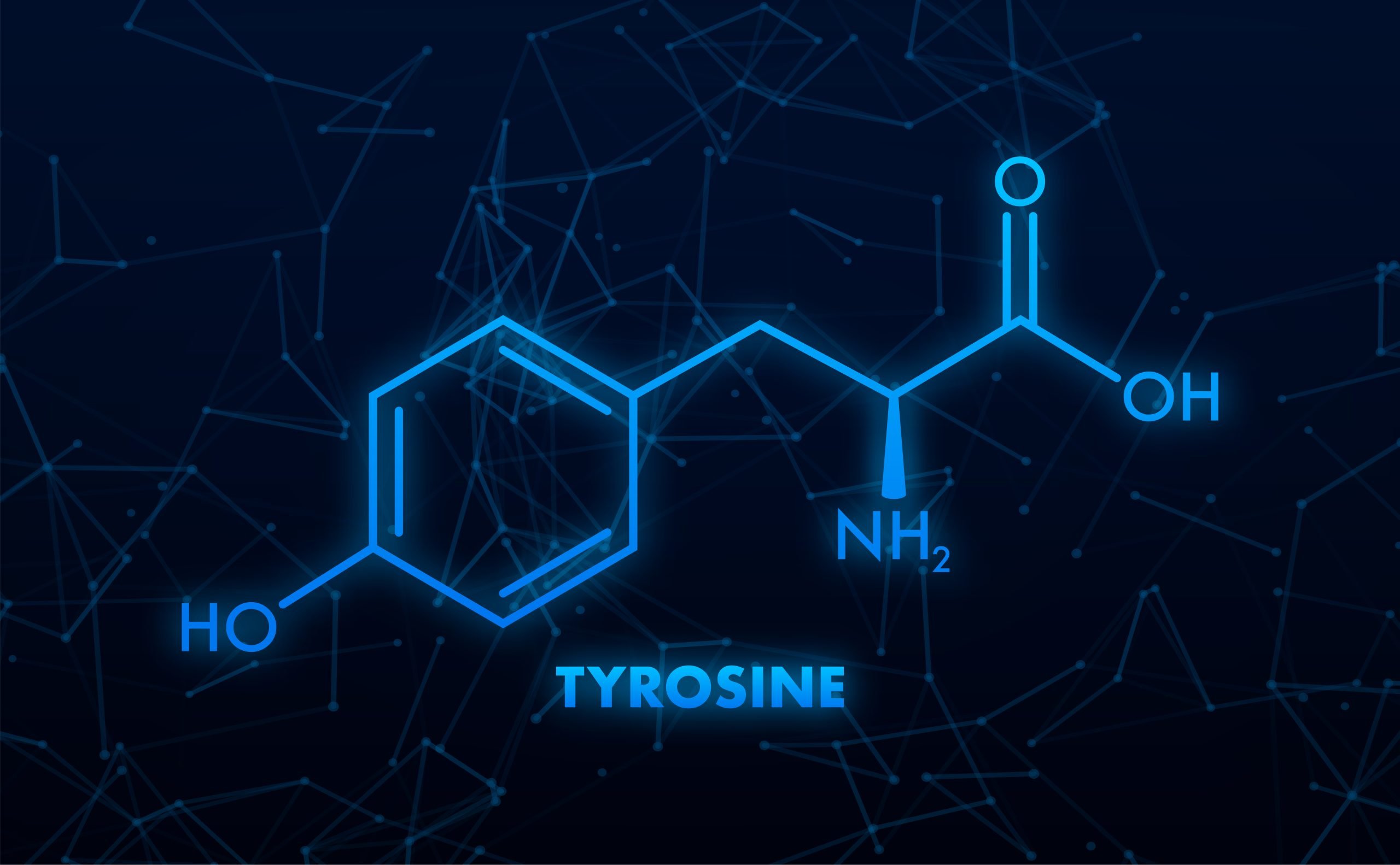Tyrosine : cette substance souvent négligée au pouvoir surprenant.