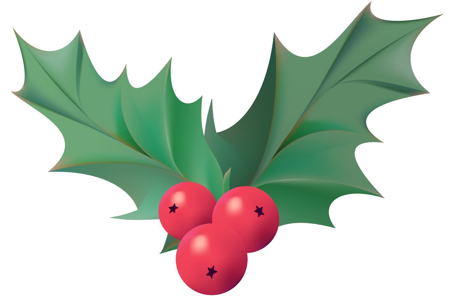 Le gui: une plante emblématique de Noël utilisée en phytothérapie ...