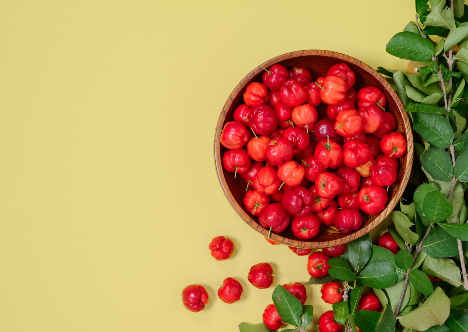 Fruits rouges, baies: le classement de leurs bénéfices