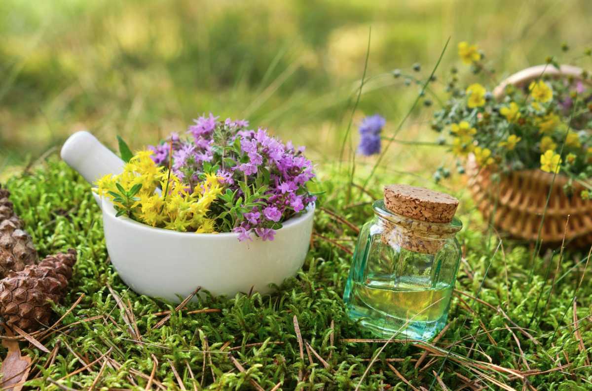 The benefits of naturopathy for overall health – Archyde