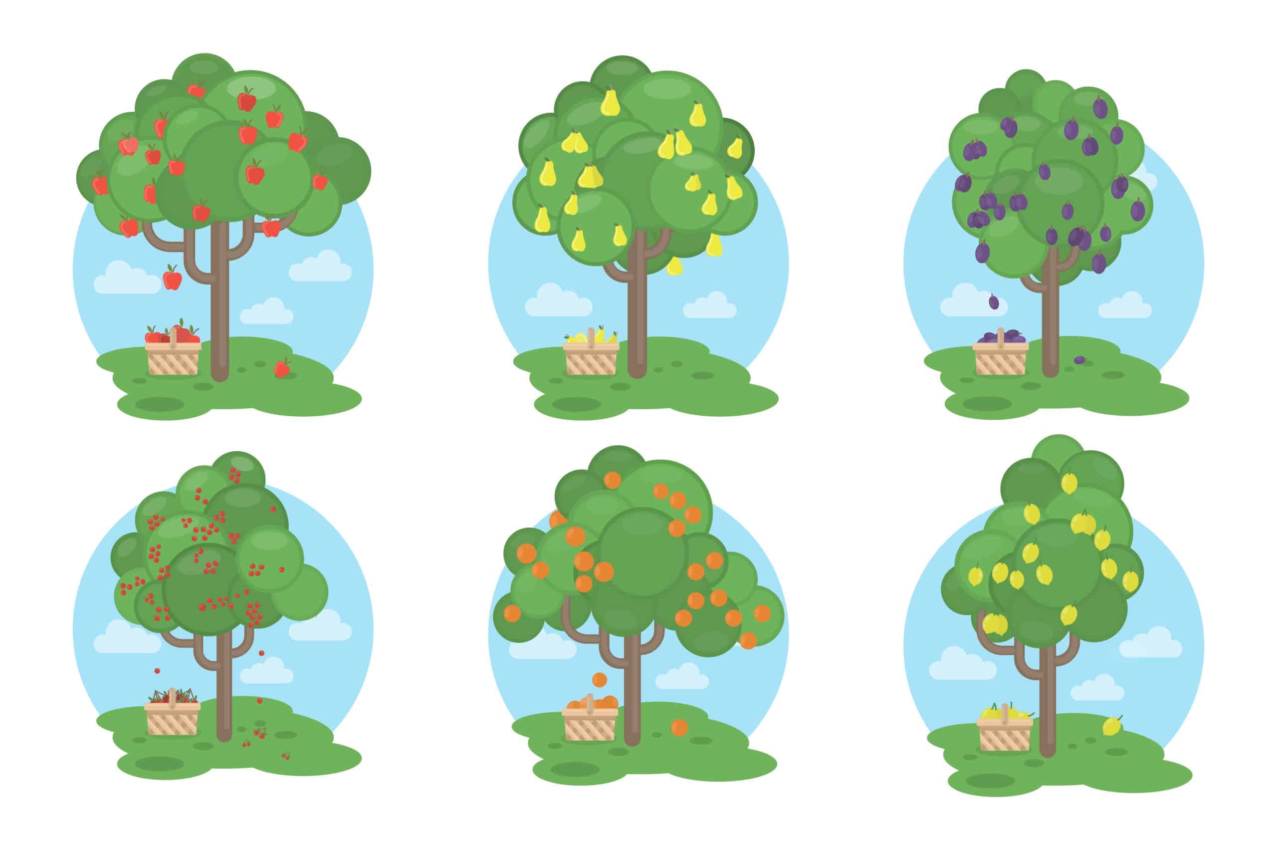 The Appropriate Methods And Times To Prune Shrubs And Fruit Trees Based The Appropriate Methods And Times To Prune Shrubs And Fruit Trees Based