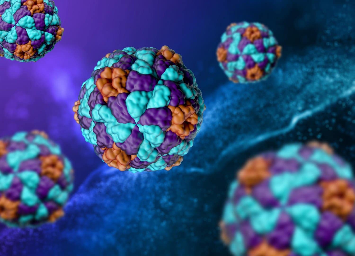 Virus et cancer : les infections qui peuvent bouleverser votre santé
