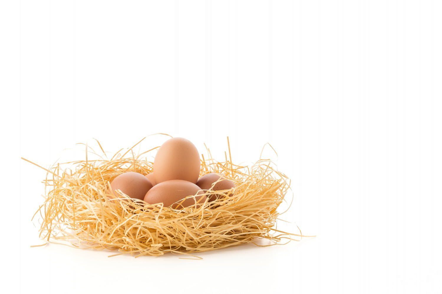 Le nesting : comprendre ses bienfaits pour le bien-être