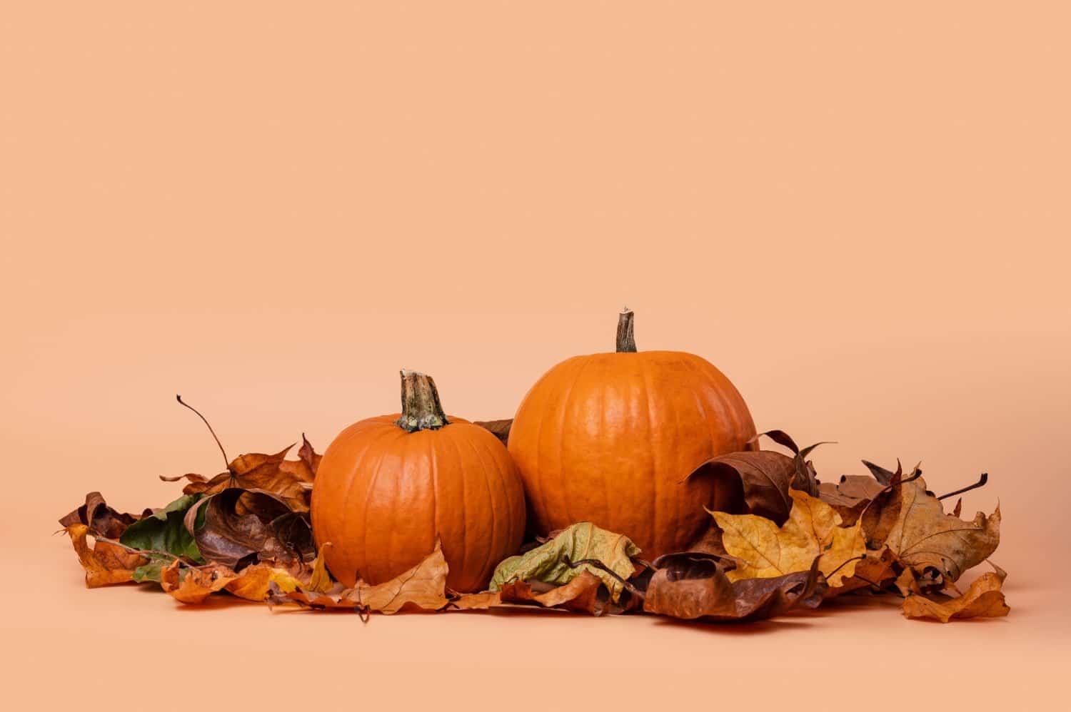 Bienfaits des graines de citrouilles : 10 bénéfices